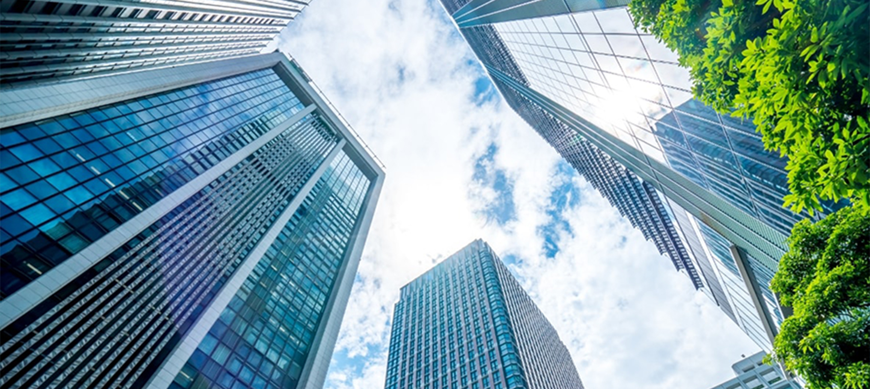 About Us｜Sawai Group Holdings